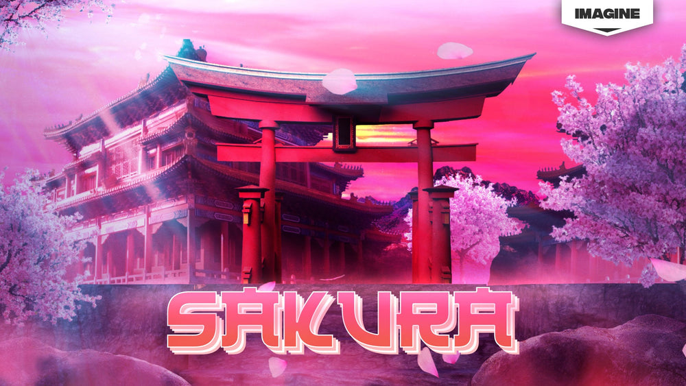 IMAGINE - Stream Overlays – Imagine